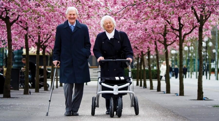 Rollator Veloped Tour 12er & 14er | Trionic Australia Walkers & Walking ...